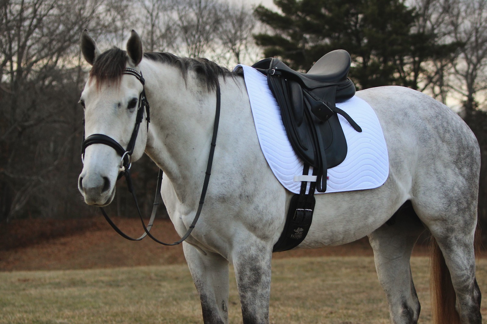 Draper Knitting’s Made in the USA Gift Guide | Draper Knitting Company